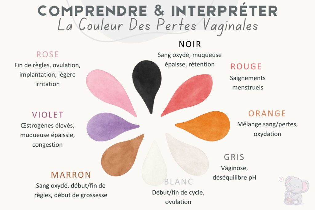 Pertes Vaginales : Guide Des Couleurs, Odeurs & Texture (Sans Tabou ...